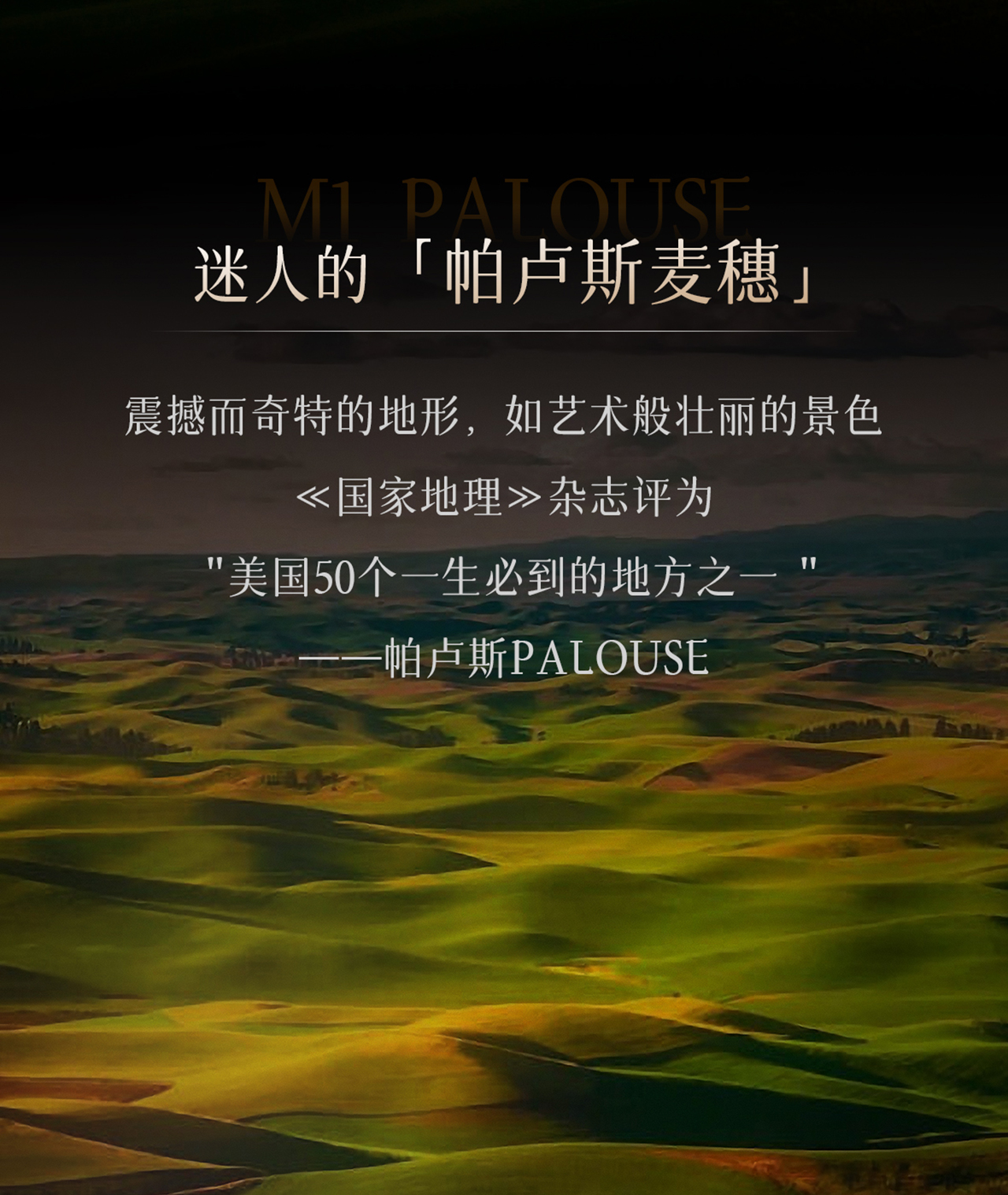 新品发布 | 鲍德温艺术家系列M1-Palouse发布上市
